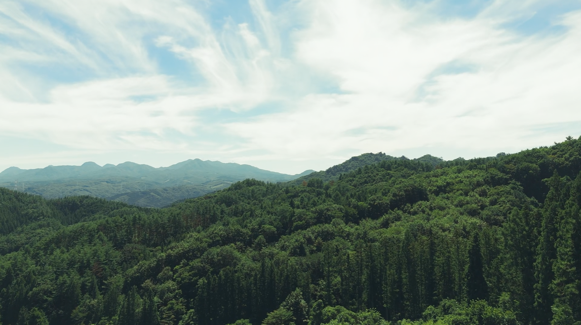 NTT EAST’s Circular Society Model for Regional Sustainability